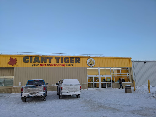 Giant Tiger in The Pas, Manitoba - Zaubee