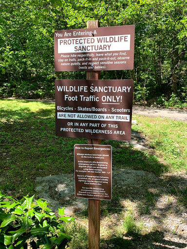 Wilderness Station - AZexplained