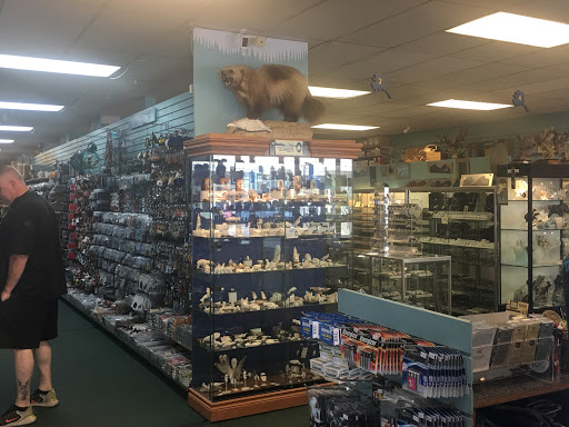 Alaska Shop - AZexplained