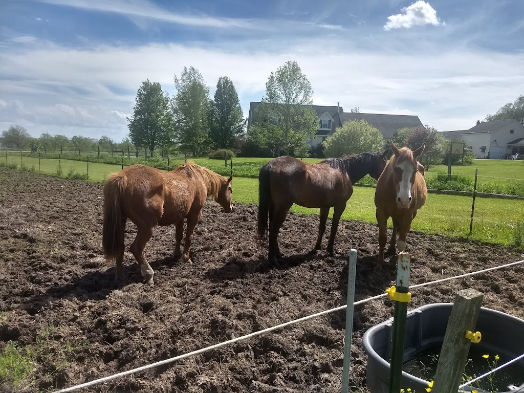 Town Line Museum - Johnstown, NY 12095 - Location, Reviews, Hours and ...