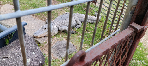 Pet Store «Zoo Creatures Pet Store», reviews and photos, 149 Plaistow ...