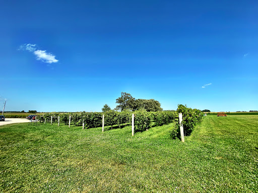 Winery «McEachran Homestead Winery», reviews and photos, 1917 Wyman ...