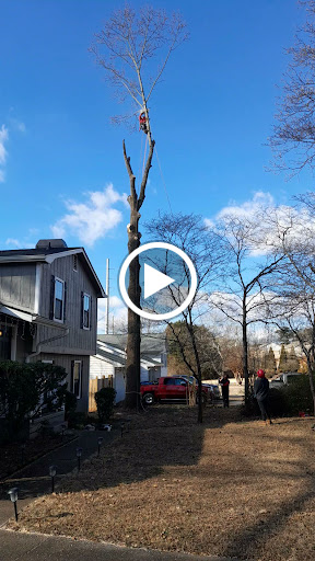 Tree Service in Decatur, GA | Tree Trimming & Removal