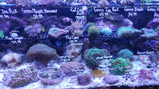 Aquarium «Greentree Pet Center», reviews and photos, 1604 Greentree ...