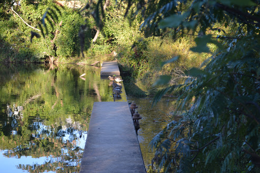 Park «Cameron Run Regional Park», reviews and photos, 4001 Eisenhower ...