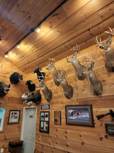 Spartan Hunting Preserve in Grandview, Tennessee - Zaubee