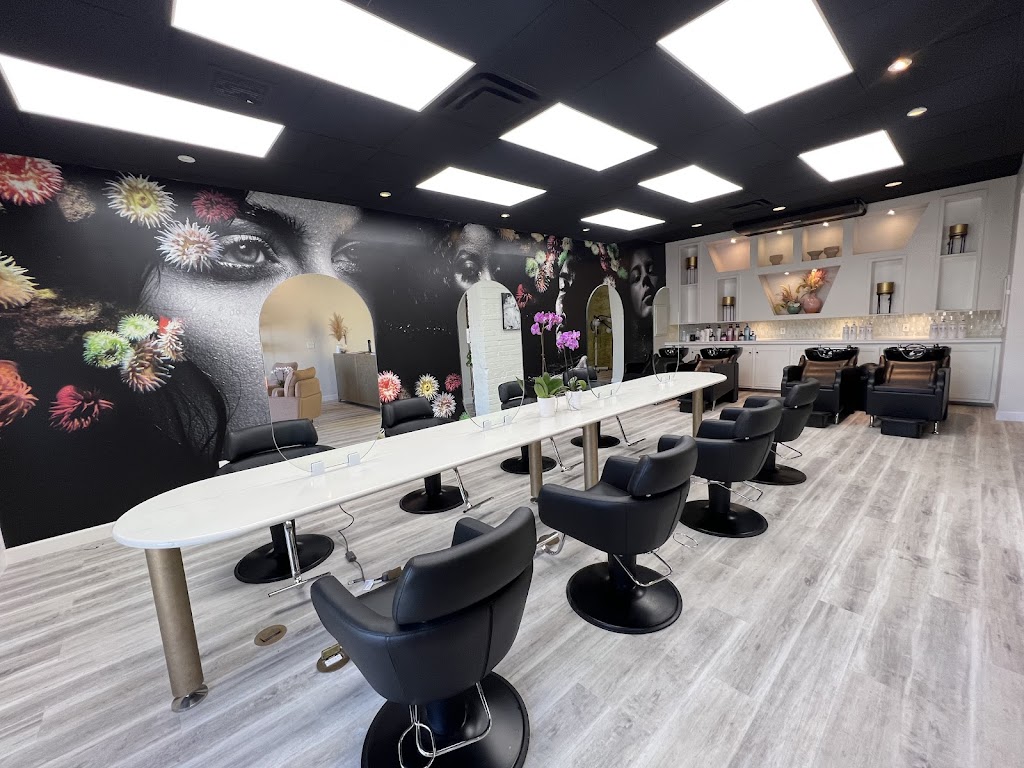 Color Studio Beauty Salon - Williamsville, NY 14221 - Services and Reviews