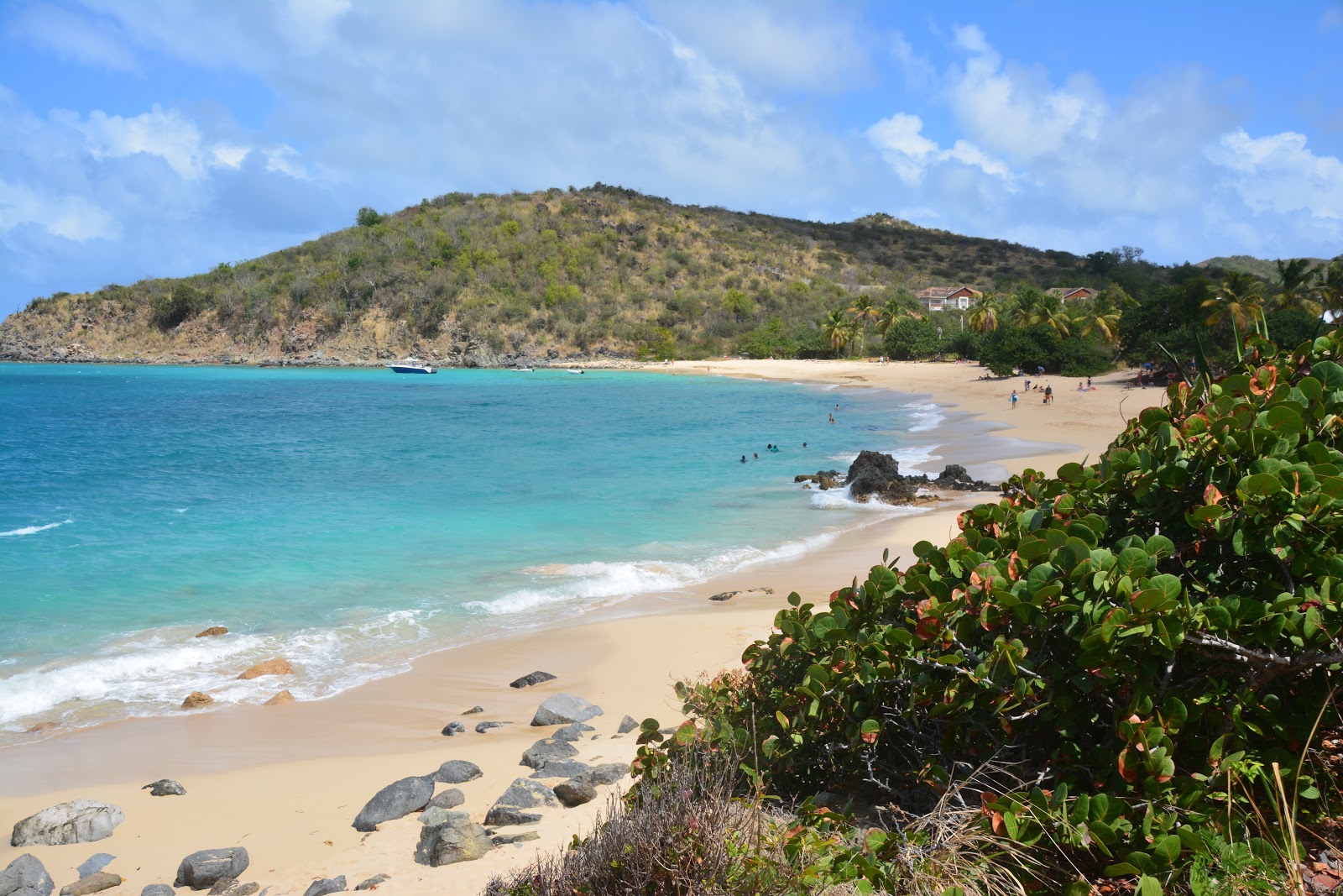 Plage de Happy Bay 🏖️ St.Martin island, Country of Sint Maarten ...
