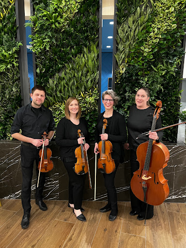 Stringbeans String Quartet - Alberta's Premiere Pop String Quartet