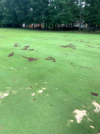 Montlake Golf Club in Montlake, Soddy-Daisy, Tennessee - Zaubee