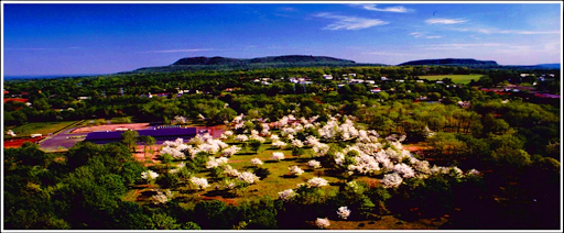 Once Again Farm - AZexplained