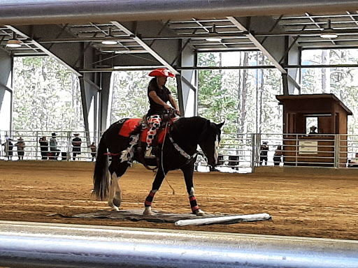 Washington State Horse Park | Ride The Horse