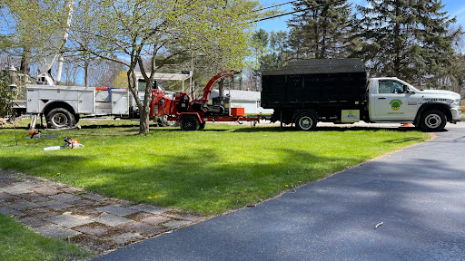 Tree Guys Inc. - Tree Services