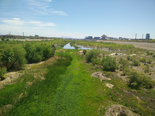 Park «Rio Salado Park», reviews and photos, 80 West Rio Salado Parkway ...