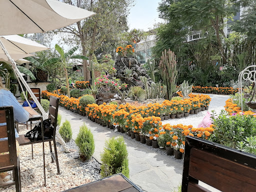 Restaurante Espíritu Inquieto en Tultepec