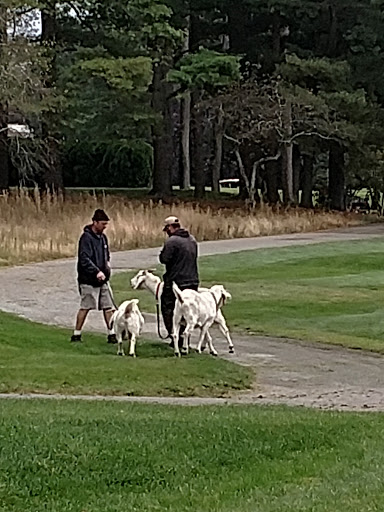 Non-Profit Organization «Needham Golf Club», reviews and photos, 49 ...