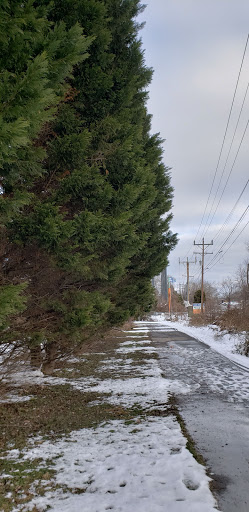 Golf Course «Paint Branch Golf Course», reviews and photos, 4690 ...