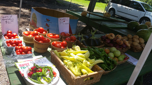 Village Farms - AZexplained