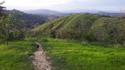 Park «Ernest E. Debs Regional Park», reviews and photos, 4235 Monterey ...
