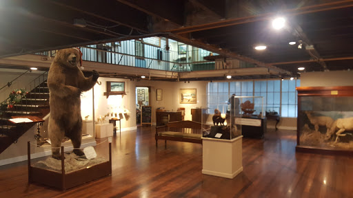 Museum «Pacific Grove Museum of Natural History», reviews and photos ...