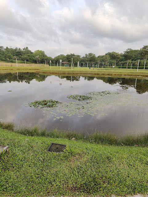 Lorong Halus Wetland - reviews,open hours,photo spots,things to do ...