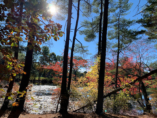 Park «Russell Mill Pond and Town Forest», reviews and photos, 105 Mill ...