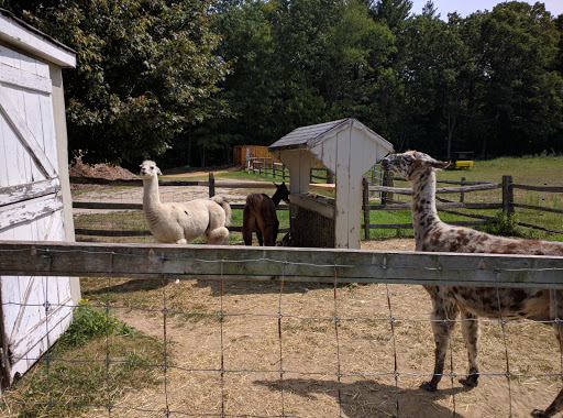 Zoo «Charmingfare Farm», reviews and photos, 774 High St, Candia, NH ...