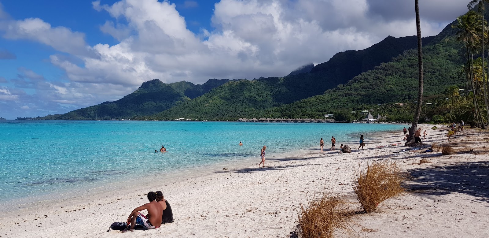 Temae Strand (Plage de Temae) 🏖️, Insel Moorea (Frankreich) - Alle ...