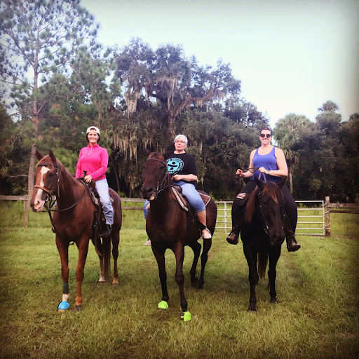 Hidden Palms Ranch | Ride The Horse