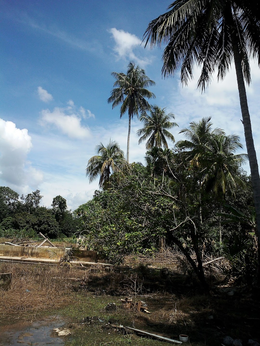 Perpustakaan Desa Kampung Belau di bandar Merbok