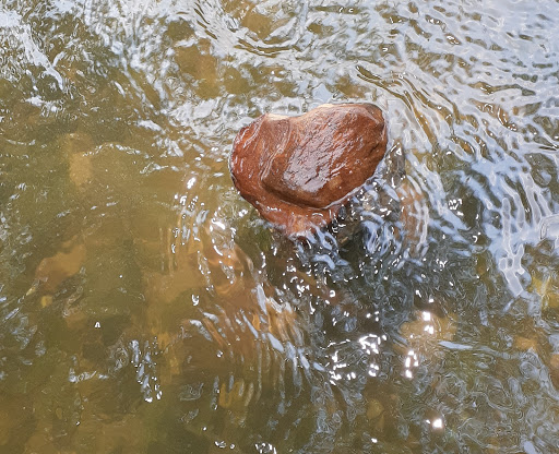 Tourist Attraction «Funky Bones», reviews and photos, 1850 38th St ...