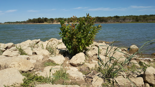 State Park «Cedar Hill State Park», reviews and photos, 1570 FM1382 ...