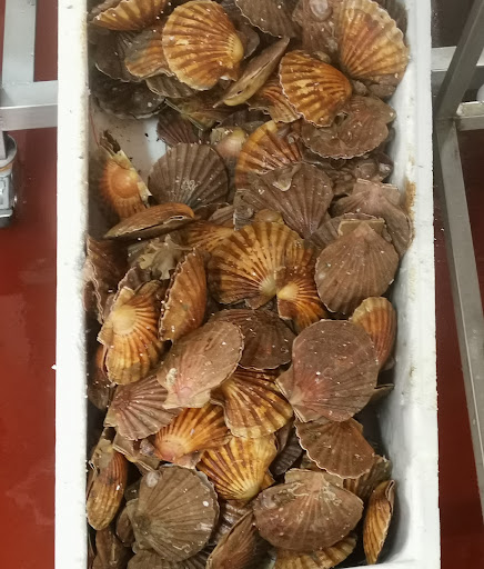 Liverpool Meat & Fish Market in Old Swan, Liverpool, - Zaubee