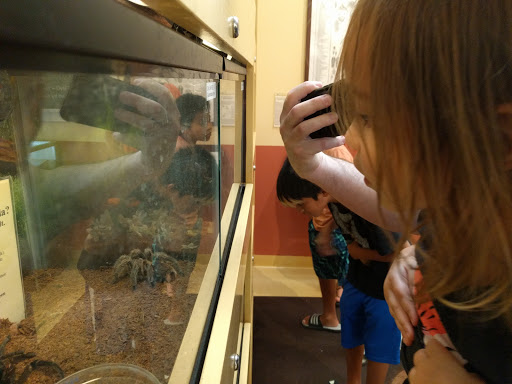 Museum «Insectropolis», reviews and photos, 1761 U.S. 9, Toms River, NJ ...