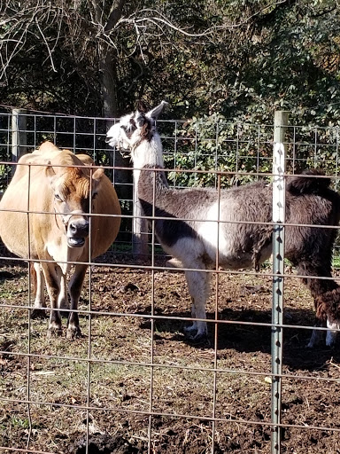 Maple View Agricultural Educational Center - AZexplained