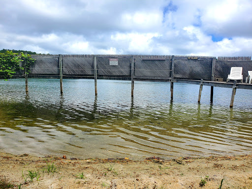 Sandy Terraces in Marstons Mills, Marstons Mills, Massachusetts - Zaubee