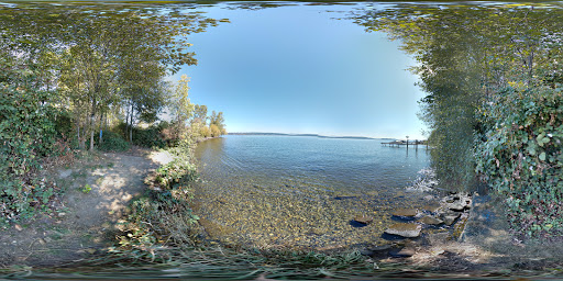 Park «Warren G. Magnuson Park», reviews and photos, 7400 Sand Point Way ...