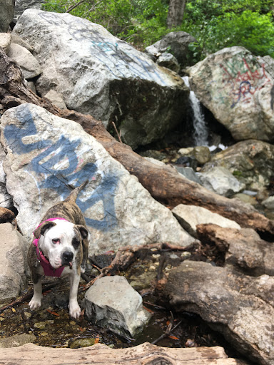 Bonita Ranch Campground in Lytle Creek, California - Zaubee