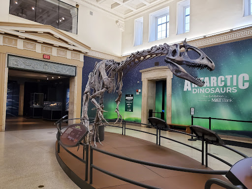 Science Museum «Buffalo Museum of Science», reviews and photos, 1020 ...