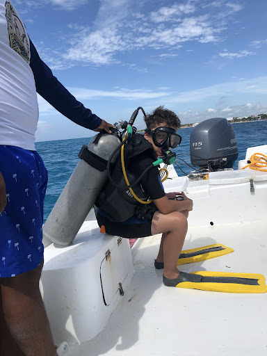 Scuba Diving & Cenote Tours in Playa del Carmen | Pluto Dive