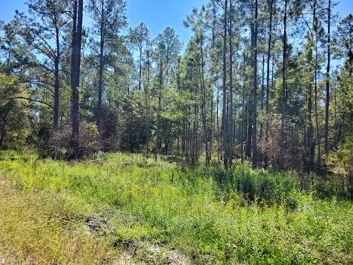 Grove Park Wildlife Management Area