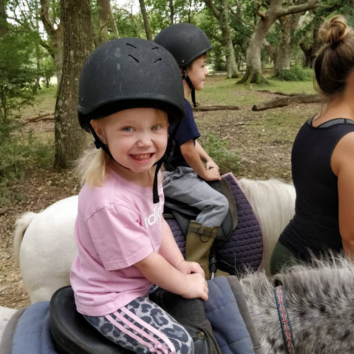 Brockenhurst Riding Stables in Brockenhurst, - Zaubee