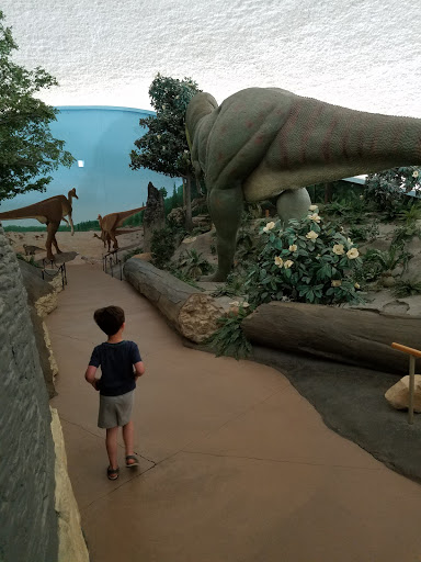 Sternberg Museum-Natural History - AZexplained