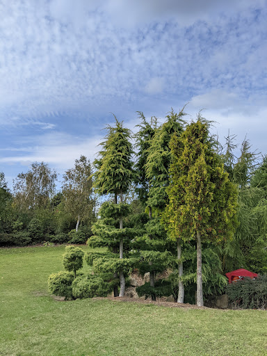 Walkers Nurseries & Garden Centre in Blaxton, Doncaster, - Zaubee