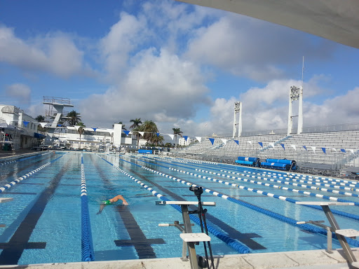 Museum «International Swimming Hall of Fame Museum», reviews and photos ...