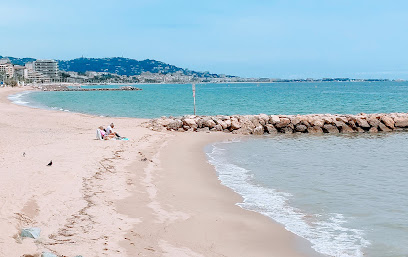 Descubre las impresionantes playas de Cannes: el paraíso mediterráneo ...
