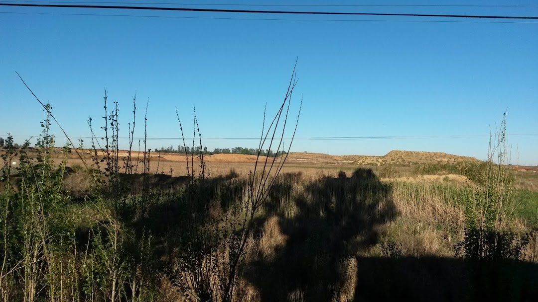 Thaba Chueu Mining (Pty) Ltd (previously SamQuarz) in the city Delmas