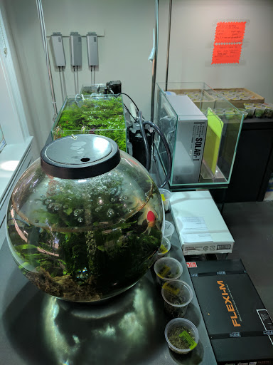 Tropical Fish Store «Aqua Forest Aquarium», reviews and photos, 1718 ...