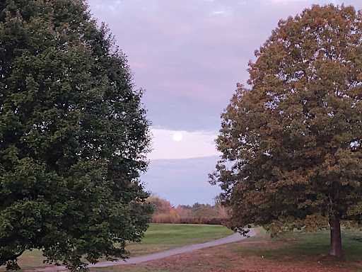 Golf Course «Maynard Golf Course», reviews and photos, 50 Brown St ...