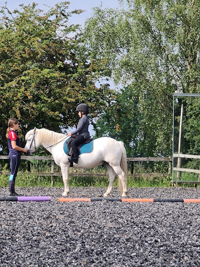 Three Pits Stables - , Manchester - Zaubee